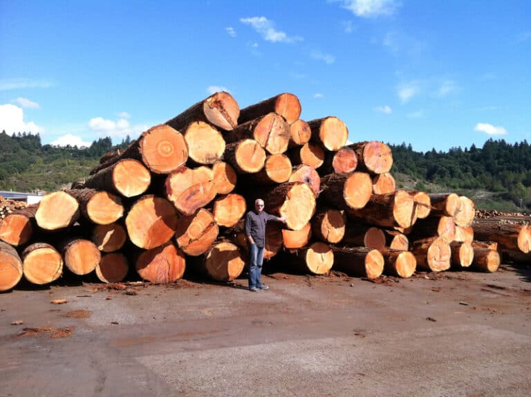Logs for Sale - Cedarland Forest Resources