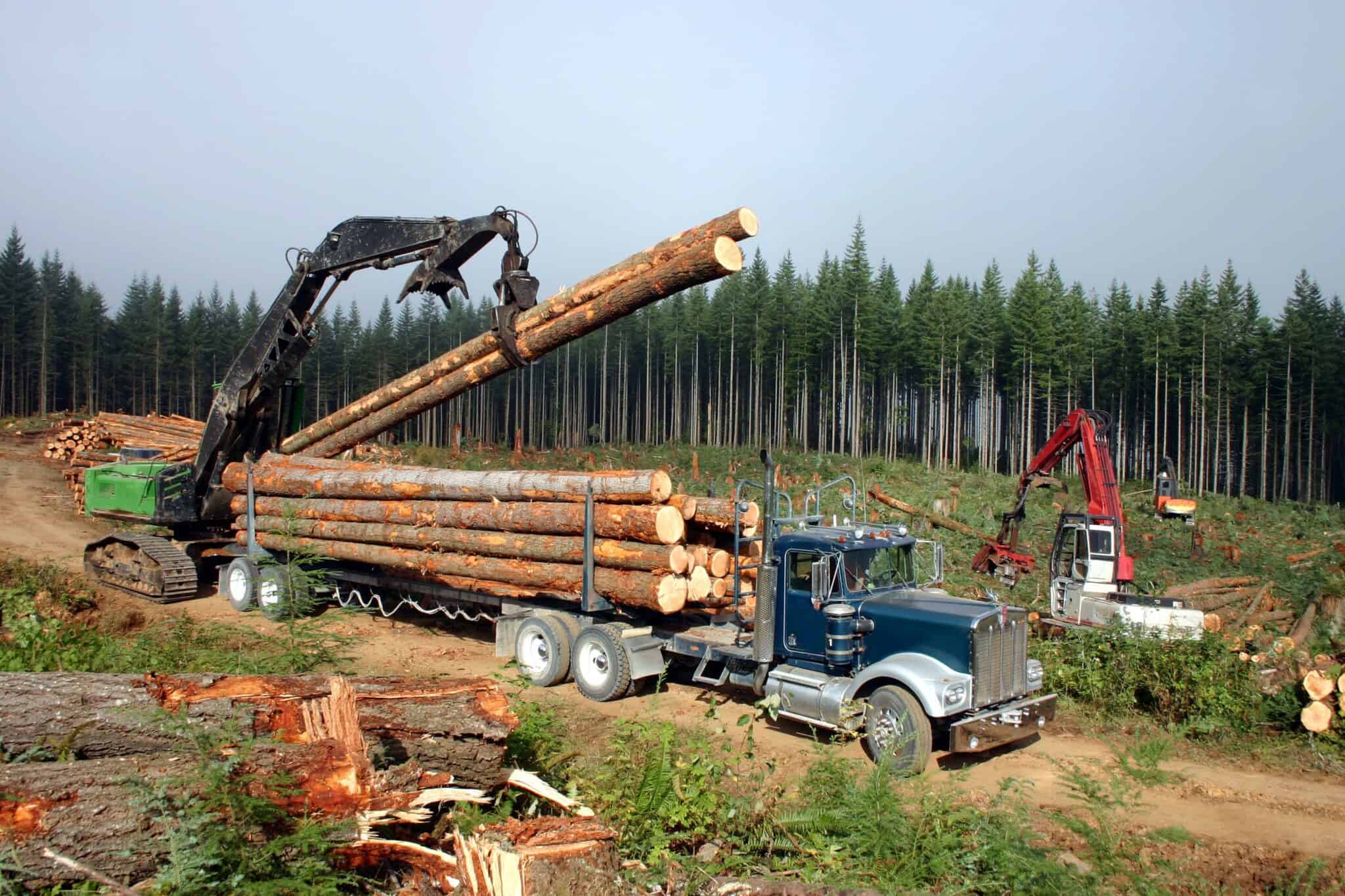 Cedarland Forest Resources - A Western Washington logging company